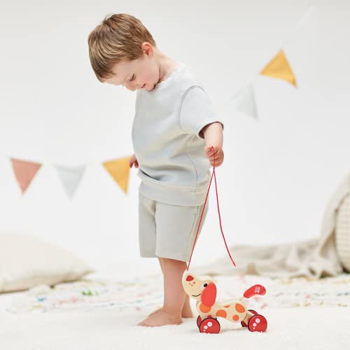 Walk-A-Long Puppy Wooden Pull Toy by Hape | Award Winning Push Pull Toy Puppy For Toddlers Can Sit, Stand and Roll. Rubber Rimmed Wheels for Easy Push and Pull Action, Red , Red/Orange