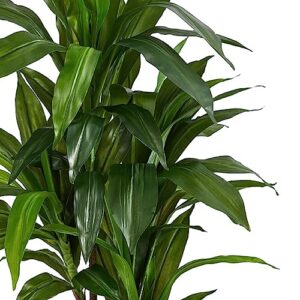 Nearly Natural 48in. Dracaena Silk (Real Touch) Artificial Plant, 48", Green