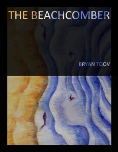 the beachcomber