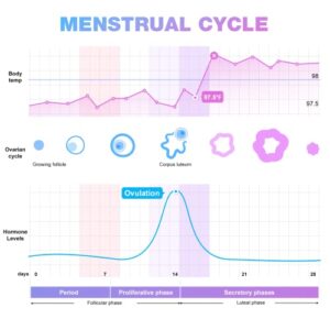 Easy@Home 50 Ovulation Test Strips and 20 Pregnancy Test Strips Combo Kit, (50 LH + 20 HCG)-Package May Vary