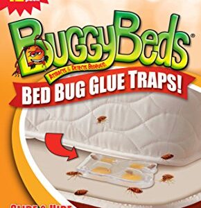 BuggyBeds® Bed Bug Glue Traps, Home, 12 Pack