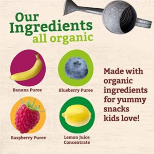 Peter Rabbit Organics, Organic Raspberry, Banana and Blueberry 100% Pure Fruit Snack, 4 oz. Squeeze Pouches (Pack of 10)