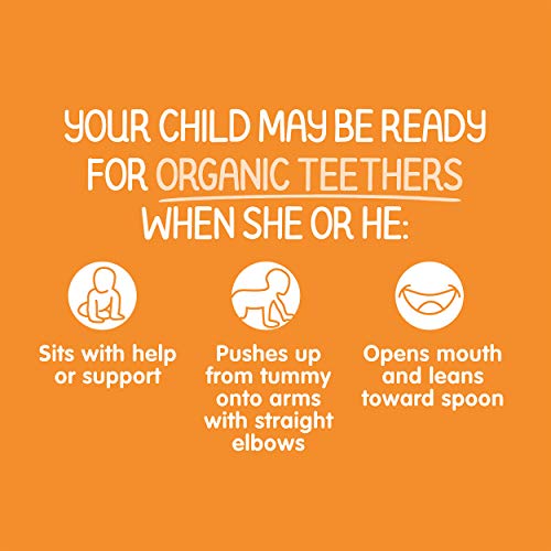 Happy Baby Organics Teether, Banana & Sweet Potato, 12 Count, Pack of 6