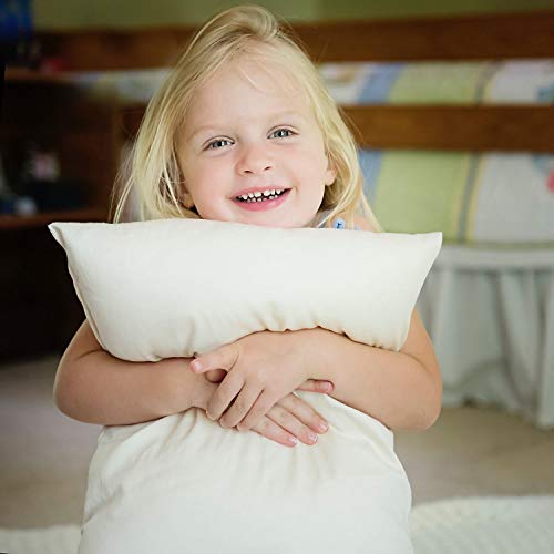 Little One's Pillow - Toddler Pillow, Delicate Organic Cotton Shell, Handcrafted in USA - Soft and Supportive, Washable 13 X 18