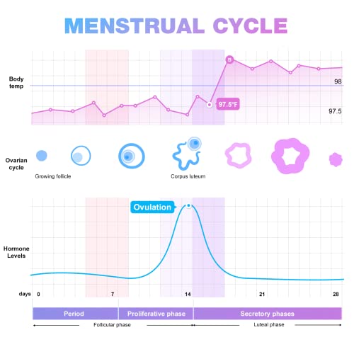 Ovulation Test Strips Powered by Premom Ovulation Predictor APP, FSA Eligible, 40 Ovulation Test and 10 Pregnancy Test Strips, 40LH +10HCG | Package May Vary