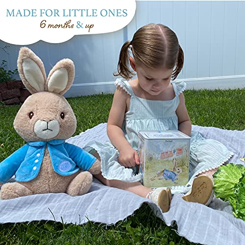 Beatrix Potter Peter Rabbit Jack-in-The-Box, Multi-colored, Standard