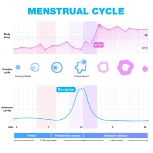 Easy@Home Ovulation Test Strips, 25 Pack Fertility Tests, Ovulation Predictor Kit, Powered by Premom Ovulation Predictor iOS and Android App, 25 LH Strips