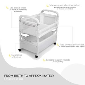 Arm’s Reach Clear-Vue Co-Sleeper Bedside Bassinet Featuring Clear Mesh Panels with Fold-Down Side, Large Attached Storage Basket, 4 Wheels, and Height-Adjustable Legs