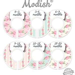 Modish Labels Baby Clothes Size Dividers, Baby Closet Organizers, Size Dividers, Baby Closet Organizers, Closet Dividers, Clothes Organizer, Nursery Décor, Girl, Flowers, Shabby Chic (Baby)