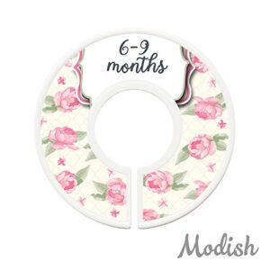 Modish Labels Baby Clothes Size Dividers, Baby Closet Organizers, Size Dividers, Baby Closet Organizers, Closet Dividers, Clothes Organizer, Nursery Décor, Girl, Flowers, Shabby Chic (Baby)