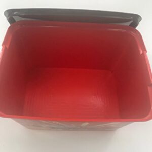 FVLFIL Disney Pixar Cars Plastic Storage Bin with Lid