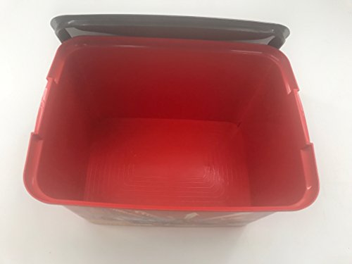 FVLFIL Disney Pixar Cars Plastic Storage Bin with Lid