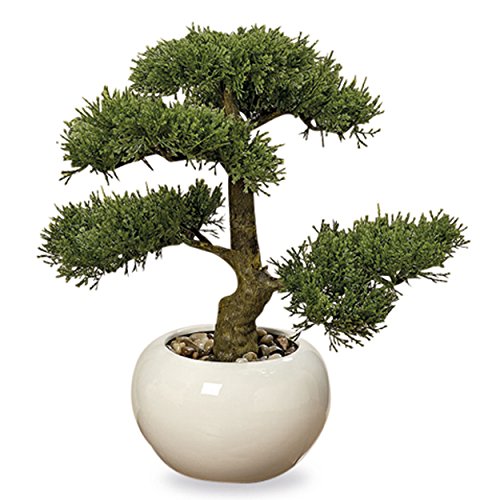 Realistic Faux Cedar Bonsai Tree, Houseplant, White Round Pot, Pebbles, Padded Bottom, Over 1 Ft Tall, (H33cm)