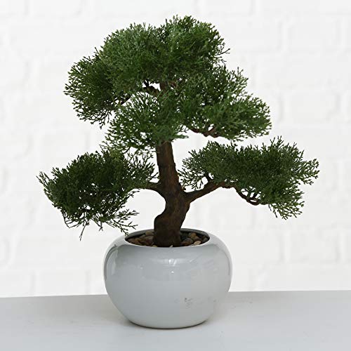 Realistic Faux Cedar Bonsai Tree, Houseplant, White Round Pot, Pebbles, Padded Bottom, Over 1 Ft Tall, (H33cm)