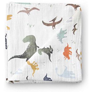 aenne baby muslin baby swaddle blanket dinosaur dino print, luxurious, soft and silky, 70% bamboo 30% cotton 47x47inch (1pack), baby boy nursing cover, wrap, burp cloth