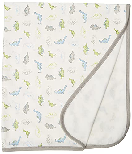 Little Me Baby Boy's Little Dino's Swaddling Receiving Blanket