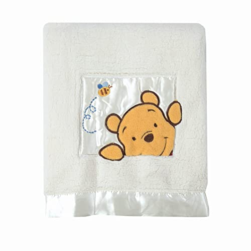 Danica Soft Coral Fleece Baby Blanket, Cute Animal Pattern, 40" X 30" Cozy, Comfortable & Warm (Ivory) Winnie Bear