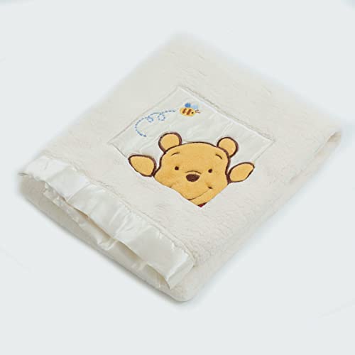 Danica Soft Coral Fleece Baby Blanket, Cute Animal Pattern, 40" X 30" Cozy, Comfortable & Warm (Ivory) Winnie Bear