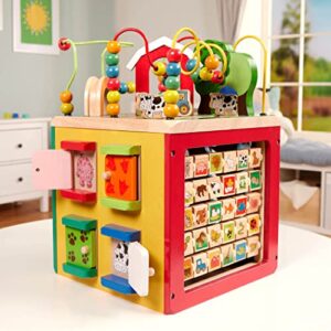 Battat – Wooden Activity Cube – Discover Farm Animals Activity Center for Kids 1 year +, Standard