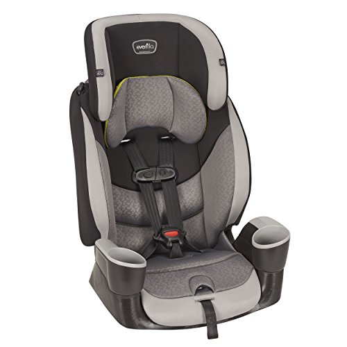 Evenflo Maestro Sport Harness Booster Car Seat, Crestone Peaks