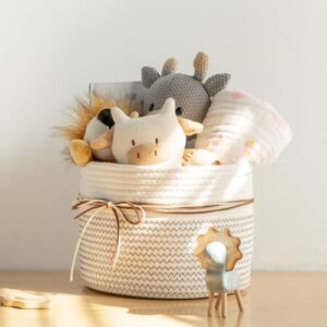 INDRESSME Small Rope Basket Round Woven Storage Basket Cute Dog Toy Basket Cotton Basket Baby Nursery Hamper Shelf Decorative Bin for Keys Gift 9.4 x 9.4 x 7.1 inches