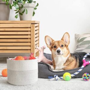 INDRESSME Small Rope Basket Round Woven Storage Basket Cute Dog Toy Basket Cotton Basket Baby Nursery Hamper Shelf Decorative Bin for Keys Gift 9.4 x 9.4 x 7.1 inches