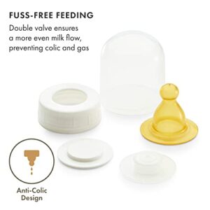 Natursutten Anti-Colic Glass Baby Bottle 2-Pack - 8 oz, 4 oz Bottles for Breastfeeding Babies - Newborn Bottles Set: Natural Rubber Slow-Flow Bottle Nipples, Seals, Valves, Baby Bottle Caps (4 Ounce)