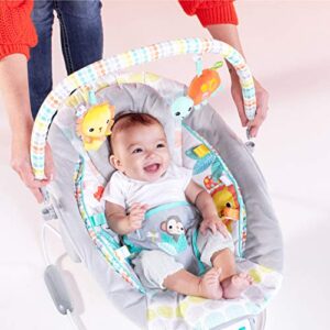 Bright Starts Comfy Baby Bouncer Soothing Vibrations Infant Seat - Taggies, Music, Removable-Toy Bar, 0-6 Months Up to 20 lbs (Whimsical Wild)