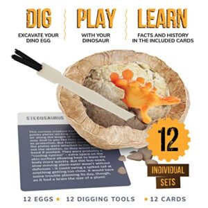 Dig a Dozen Dino Egg Dig Kit - Egg Dinosaur Toys for Kids 3-12 Year Old - 12 Easter Eggs & Surprise Dinosaurs. Science STEM Activities - Educational Boy Toy Party Gifts for Boys & Girls Ages 3-5 5-7