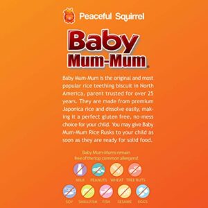 Peaceful Squirrel Variety, Hot-Kid Baby Mum-Mum Rice Rusks Variety Pack of 6 (Organic Original, Banana, Vegetables, Apple & Pumpkin, Carrot & Sweet Potato, Blueberry & Goji) - 1.76 Ounce