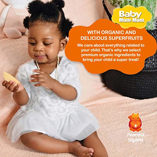 Peaceful Squirrel Variety, Hot-Kid Baby Mum-Mum Rice Rusks Variety Pack of 6 (Organic Original, Banana, Vegetables, Apple & Pumpkin, Carrot & Sweet Potato, Blueberry & Goji) - 1.76 Ounce