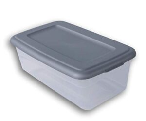 6 quart storage bin shoe box - silver