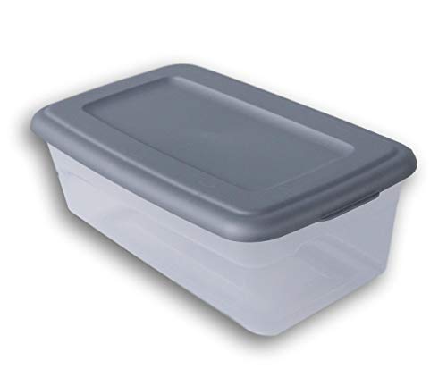 6 Quart Storage Bin Shoe Box - Silver