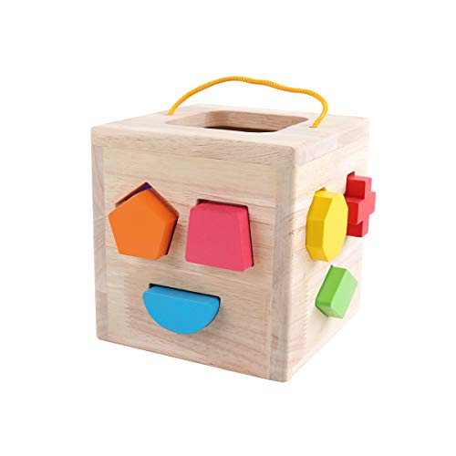 GEMEM Shape Sorter Toy My First Wooden 12 Building Blocks Geometry Learning Matching Sorting Gifts Didactic Classic Toys for Toddlers Baby Kids 2 3 Years Old