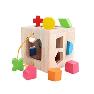 GEMEM Shape Sorter Toy My First Wooden 12 Building Blocks Geometry Learning Matching Sorting Gifts Didactic Classic Toys for Toddlers Baby Kids 2 3 Years Old