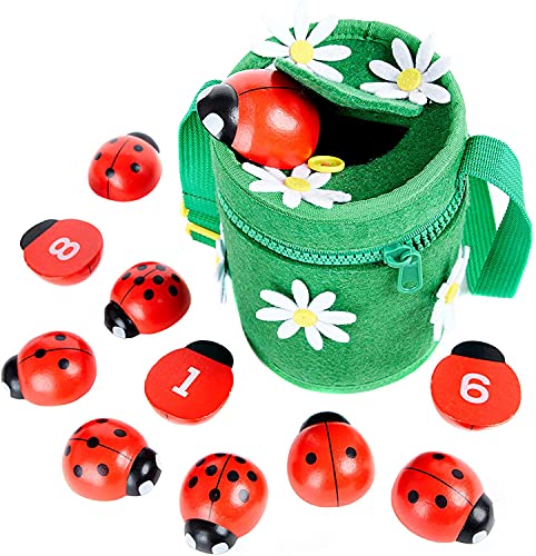 Counting Ladybugs - Montessori Wooden Counting Toy for Girls 3 4 5 Year Old - Ladybug Learning Toys for Toddlers - Preschool Kids Toys for Number Matching, Sorting & Fine Motor Skills - Lady Bug Gifts