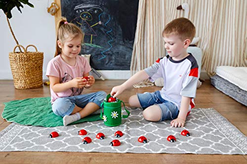 Counting Ladybugs - Montessori Wooden Counting Toy for Girls 3 4 5 Year Old - Ladybug Learning Toys for Toddlers - Preschool Kids Toys for Number Matching, Sorting & Fine Motor Skills - Lady Bug Gifts