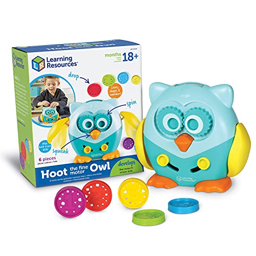 Learning Resources Hoot the Fine Motor Owl - 6 Pieces, Ages 18+ Months Toddler Learning Toys, Fine Motor and Sensory Toys for Toddlers, Educational Toys for Toddlers