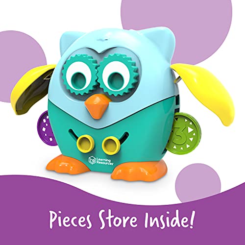 Learning Resources Hoot the Fine Motor Owl - 6 Pieces, Ages 18+ Months Toddler Learning Toys, Fine Motor and Sensory Toys for Toddlers, Educational Toys for Toddlers