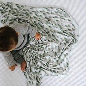 Copper Pearl Large Premium Knit Baby Swaddle Receiving Blanket Evergreen