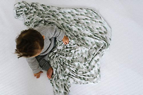 Copper Pearl Large Premium Knit Baby Swaddle Receiving Blanket Evergreen