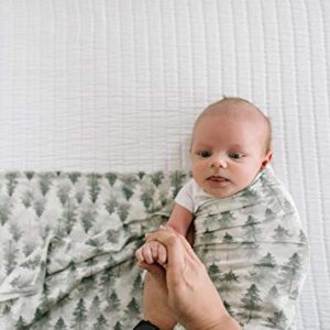 Copper Pearl Large Premium Knit Baby Swaddle Receiving Blanket Evergreen