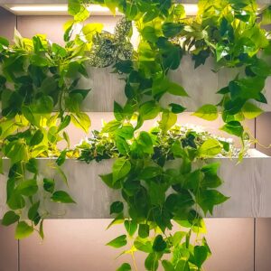 CEWOR 2pcs Artificial Hanging Plants 3.6ft Fake Ivy Vine Fake Ivy Leaves for Wall House Room Patio Indoor Outdoor Home Shelf Office Decor (No Baskets)