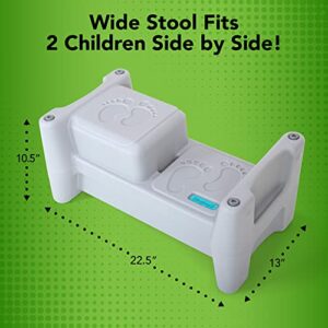 Simplay3 Sibling Step Stool, Lightweight and Non-Slip Step Stool for Kids, Multi-Level Height (Gray)