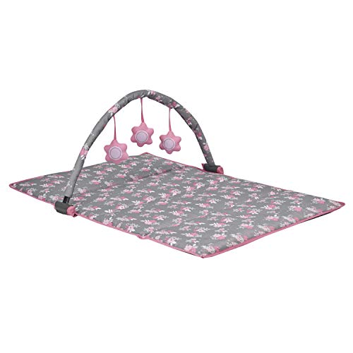 Evenflo Portable BabySuite DLX Playard, Poppy