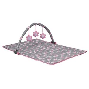 Evenflo Portable BabySuite DLX Playard, Poppy