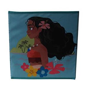 Disney Moana Storage Cube Multi