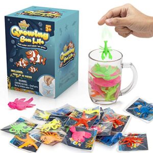 water growing sea creatures - under the sea animals - 25 pack - individually wrapped favors - expandable animals - party supplies, goodie bags fillers- great gift for boys and girls - fit as easter egg fillers