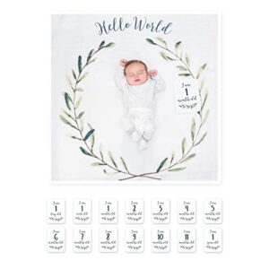 lulujo baby’s first year milestone blanket and card set | 40in x 40in (hello world)