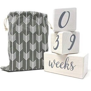 Pondering Pine Baby Milestone Blocks - Natural White Stain Pine Wood with Weeks Months Years Grade - Milestones Age Block Set with Bag, Newborn Weekly Monthly First Year Picture Props, Earth Friendly